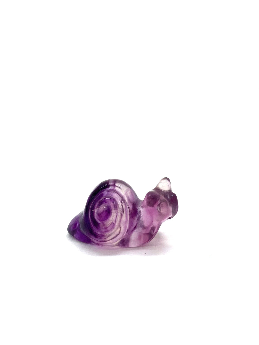 Rainbow Fluorite Mini Snail – Alchemy & Aura